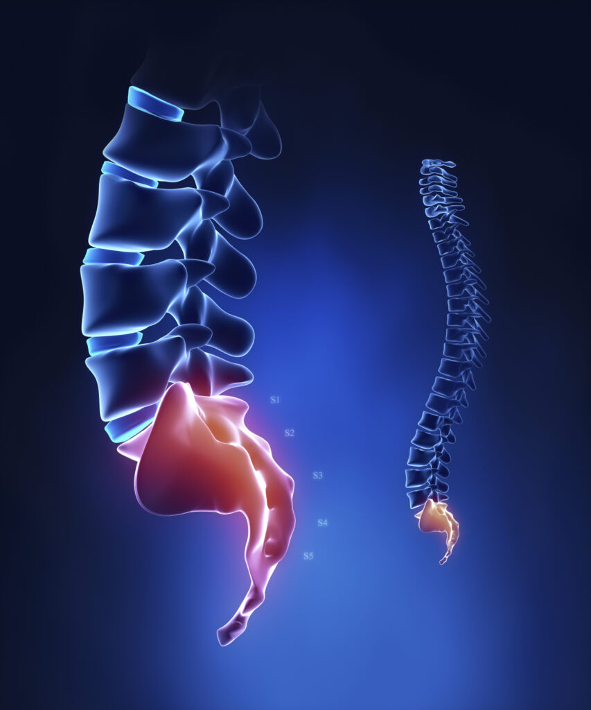Bruised Tailbone When To See A Doctor For Pain After Falling Bruised Tailbone When To See A Doctor For Pain After Falling